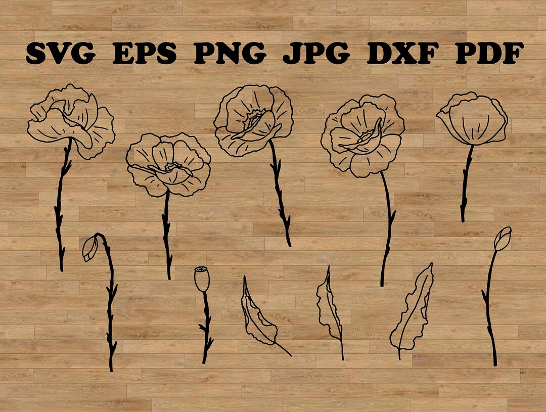 Poppy Svg, Poppy Bouquets, Poppy Cut File, Poppy Flowers, Poppy Leaves ...