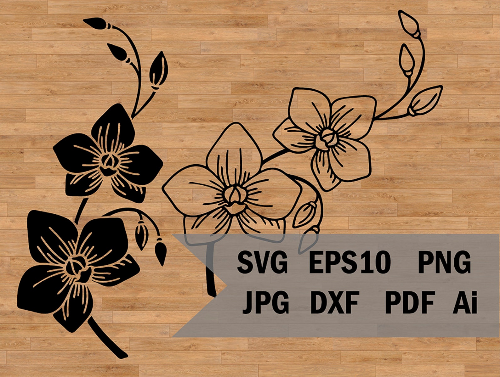 Orchid svg template Orchid branch Silhouette flowers Tropical | Etsy