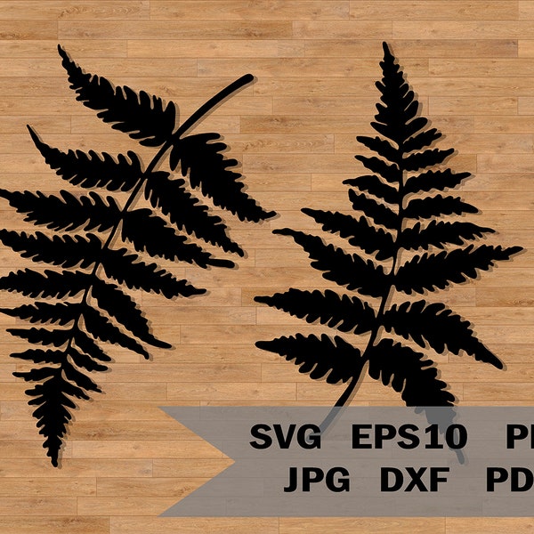 Fern Svg - Etsy