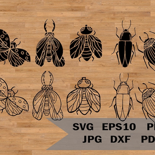 Insect SVG Insects SVG Bundle Insect Clipart Scarab Beetle - Etsy