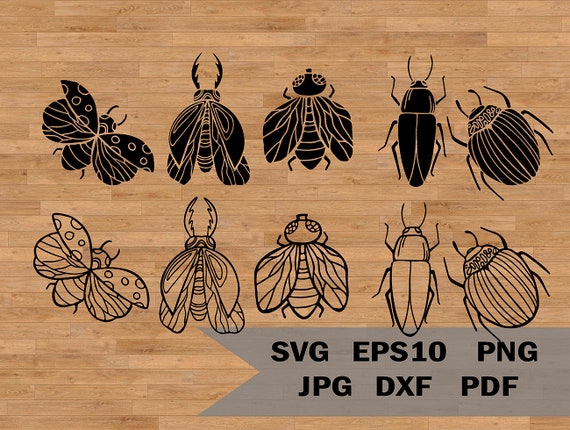 Insects Template Svg Insect Silhouette Svg Bundle Insect - Etsy
