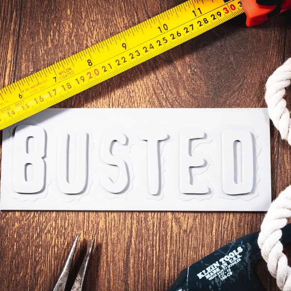 Mythbusters Busted Sign - Etsy