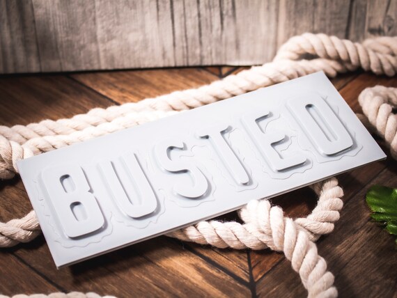 Mythbusters Busted Sign