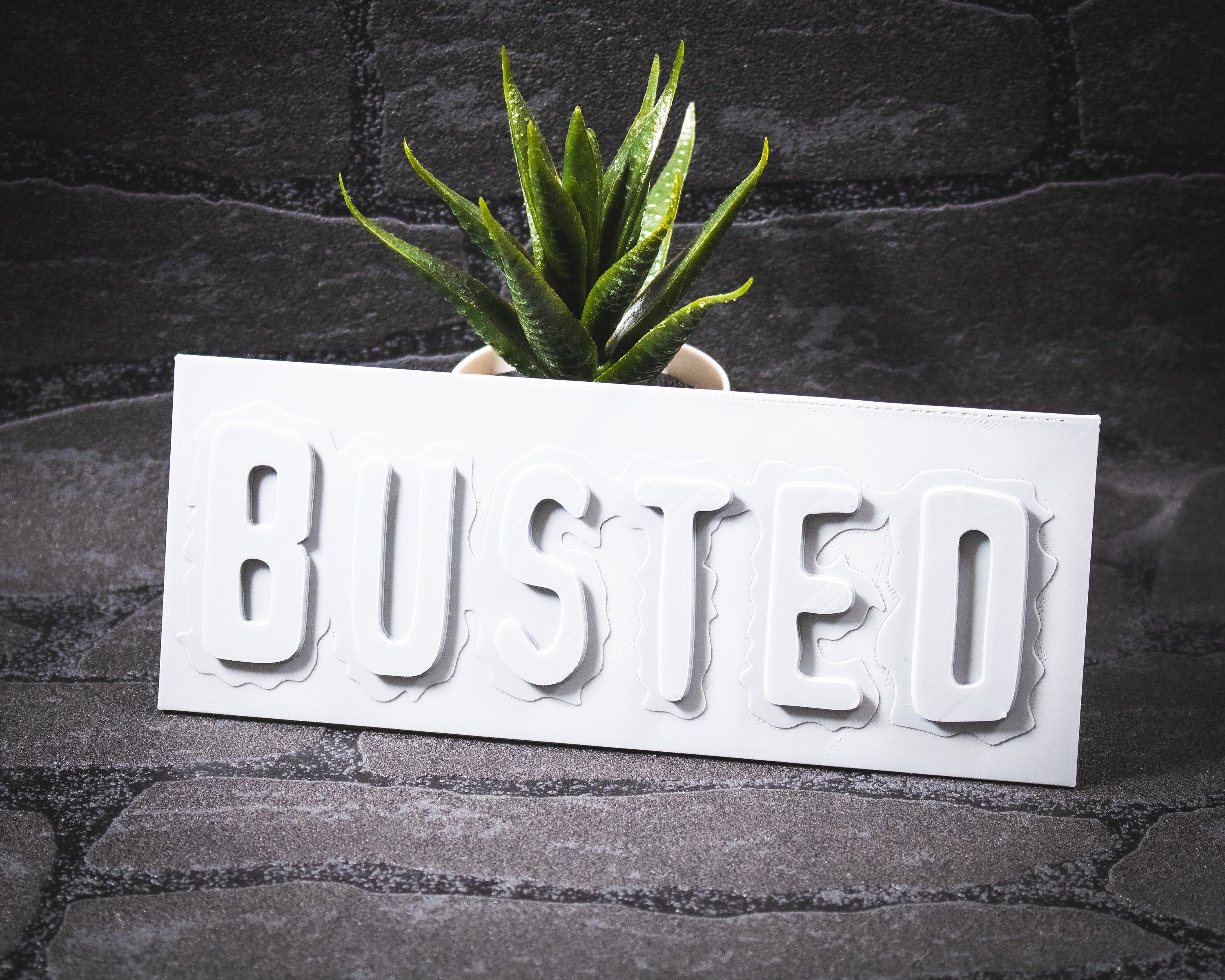 Mythbusters Busted Sign