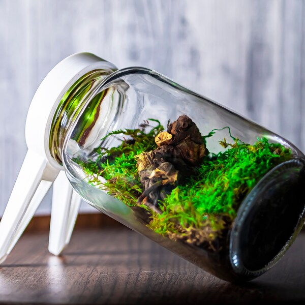Terrarium Stand - Etsy