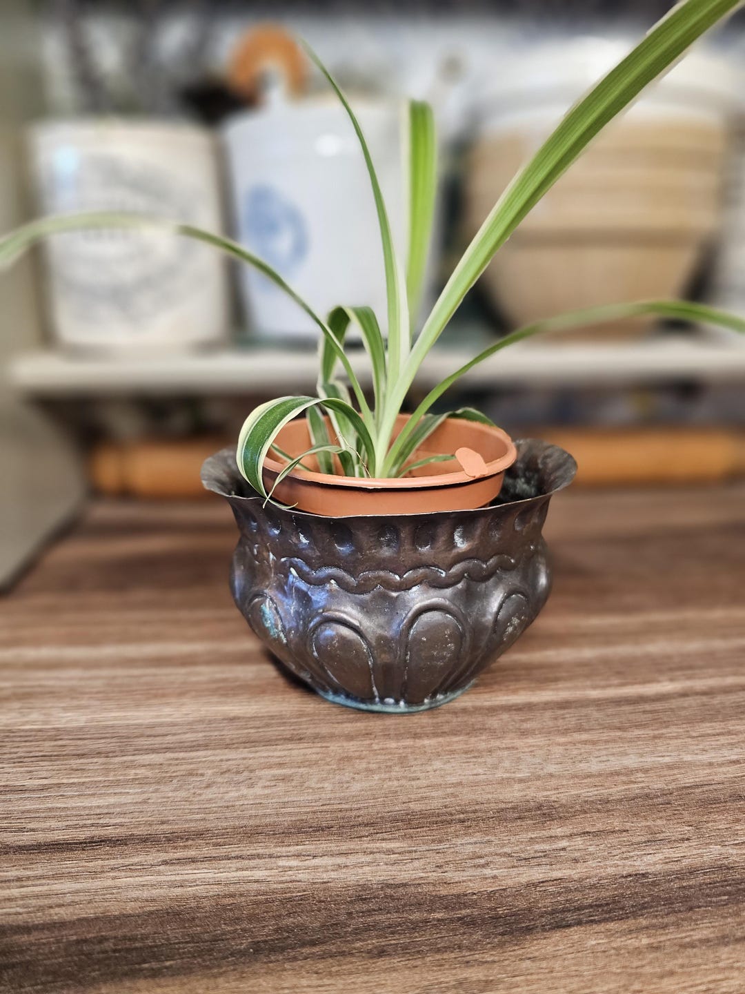 Antique Hammered Copper Plant Pot, Embossed Gothic Decor - Etsy