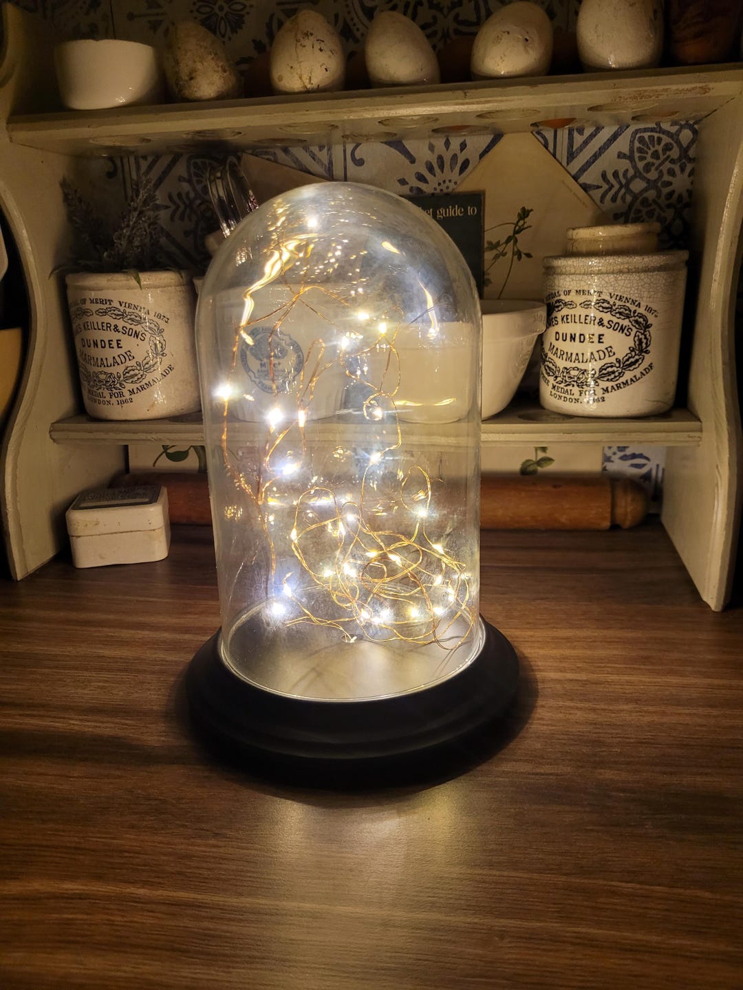 Vintage Glass Domed Display Case With Lights, Curiosity Display - Etsy