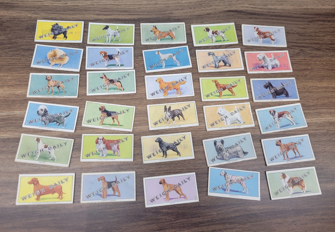 Weighing Cards at Isla Lascelles blog