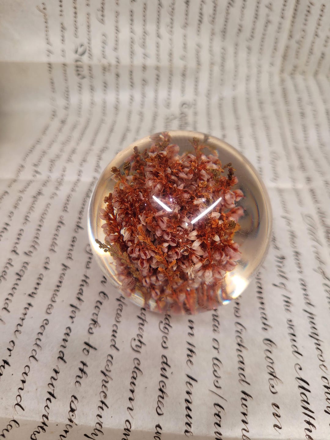 Pretty Haford Grange Floral Paperweight, Collectible Paperweight ...