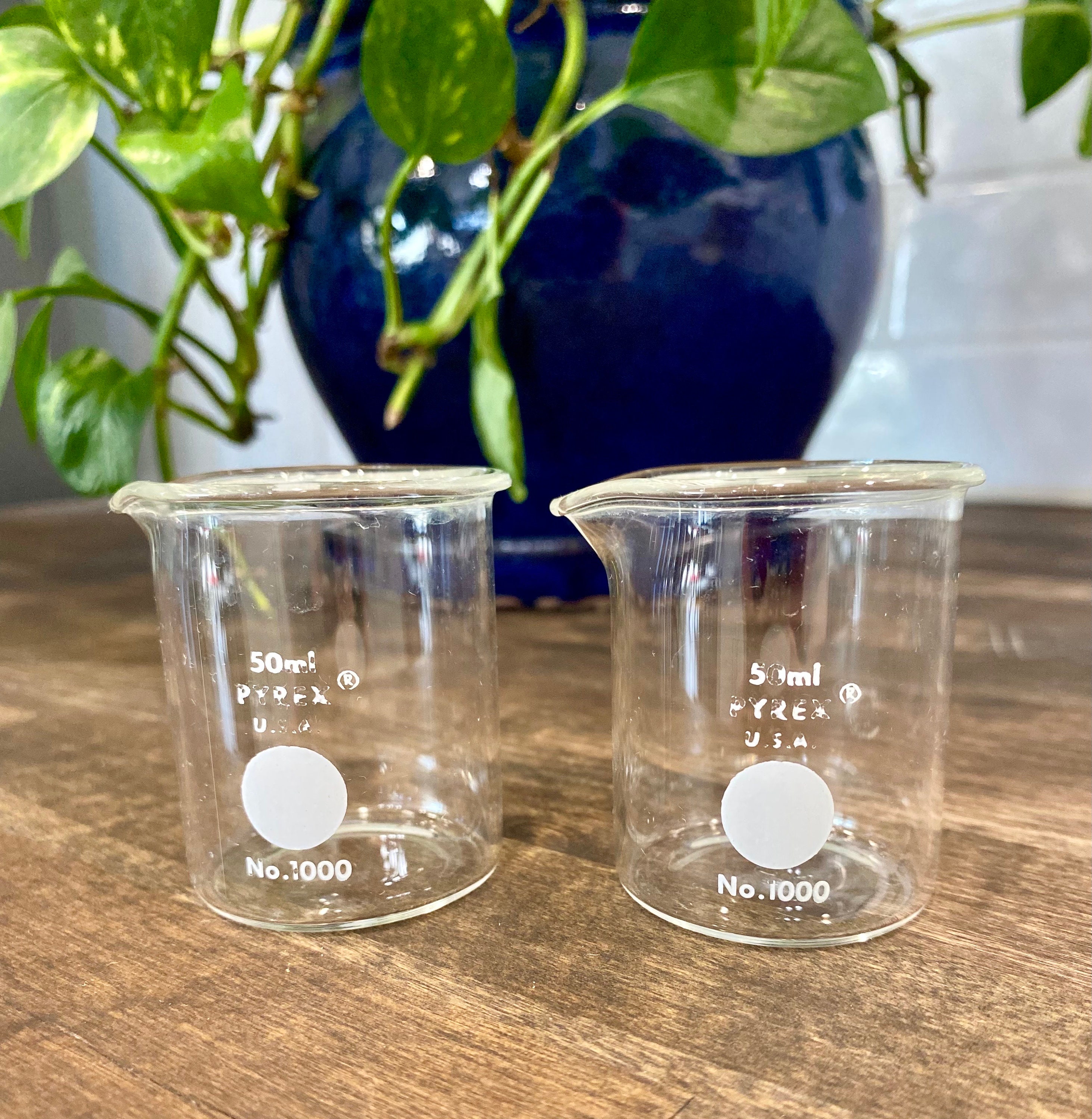PYREX Beaker 50ml. Set of 2 - Etsy