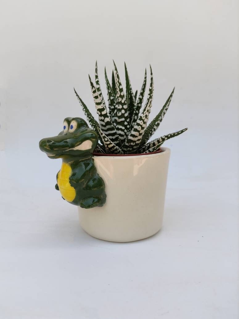 Cute Animal Succulent Planter Adorable Alligator Ceramic Pot - Etsy Canada