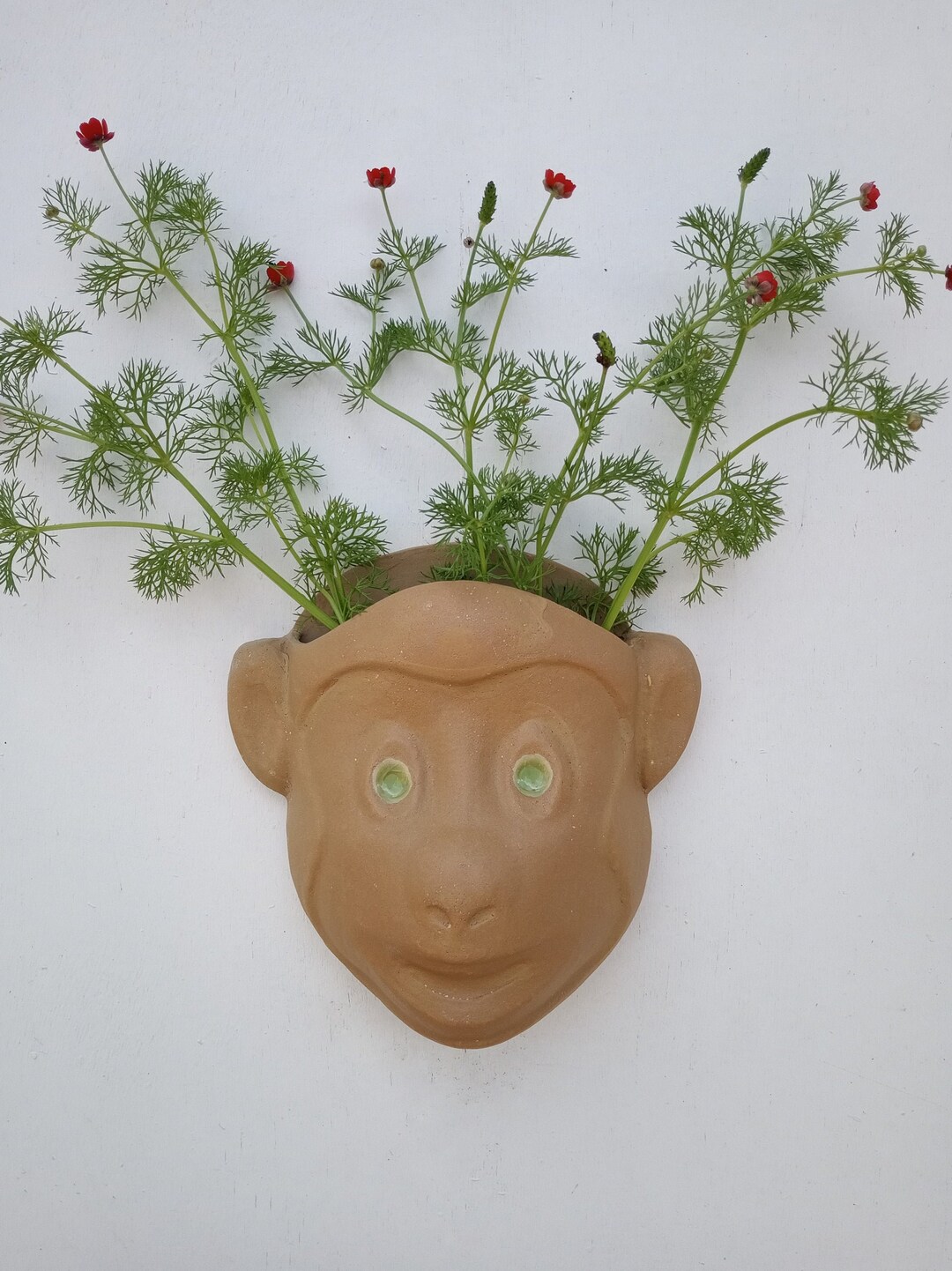 Face Monkey Planter, Outdoor Planter, Wall Planter, Ceramic Hanging ...