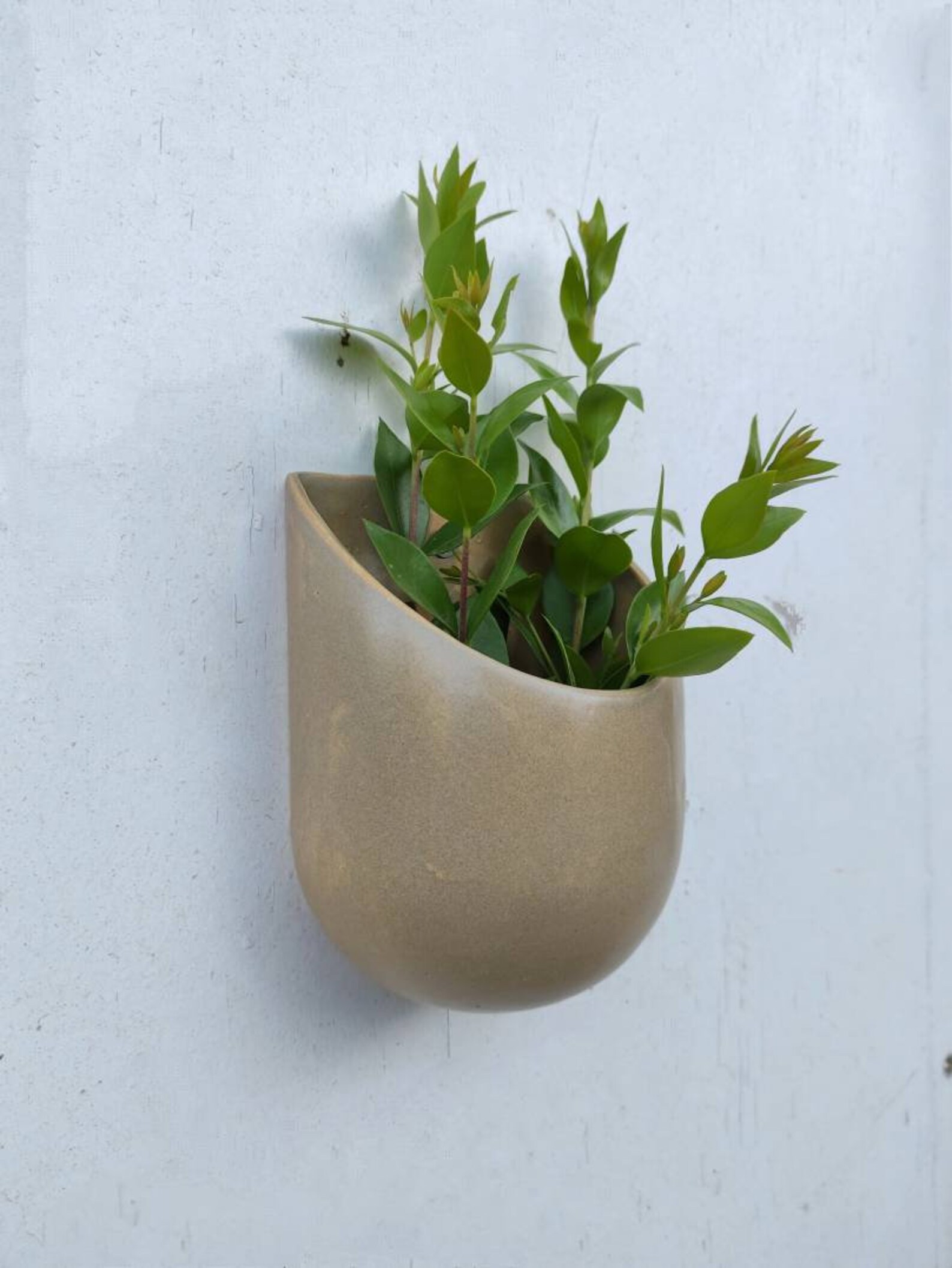Wall Planter Wall Pocket Planter Ceramic Wall Planter | Etsy