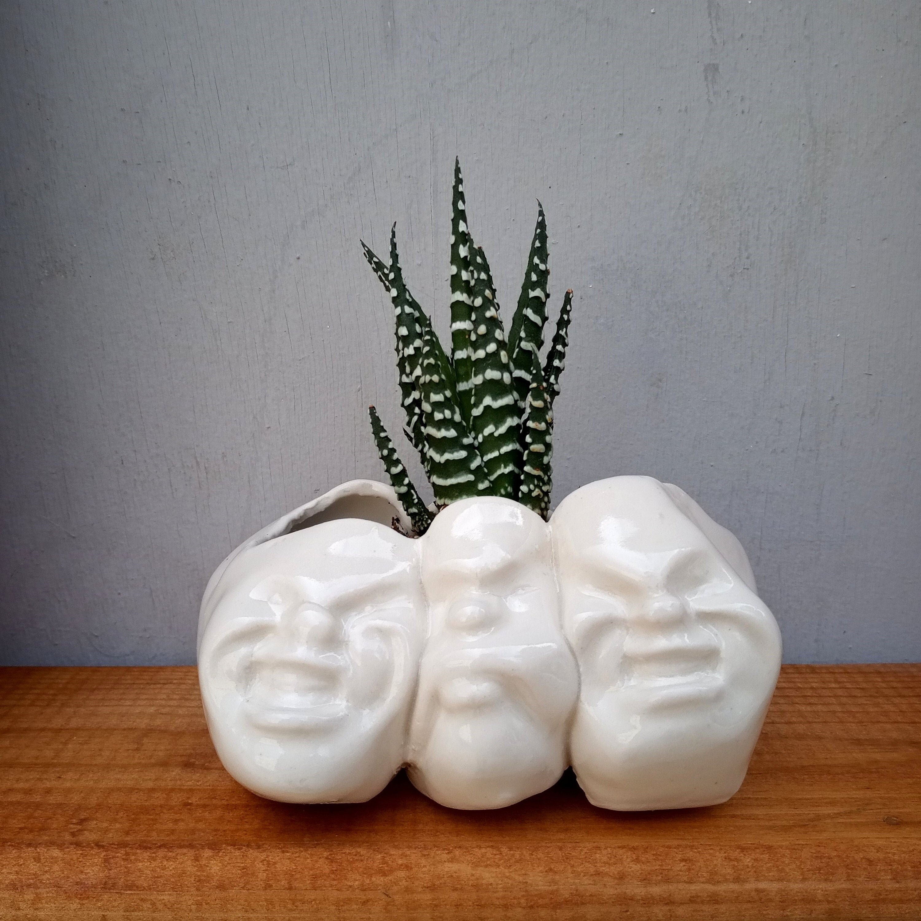 Face Plant Pot Ceramic Face Planter Mini Planter Small - Etsy UK
