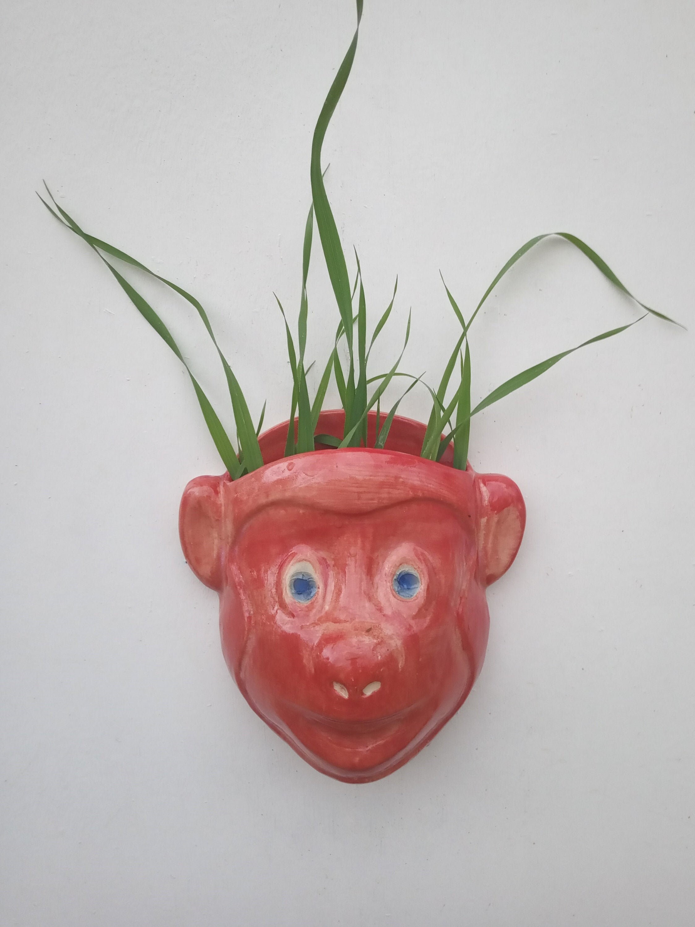 Face Monkey Planter Outdoor Planter Wall Planter Ceramic - Etsy