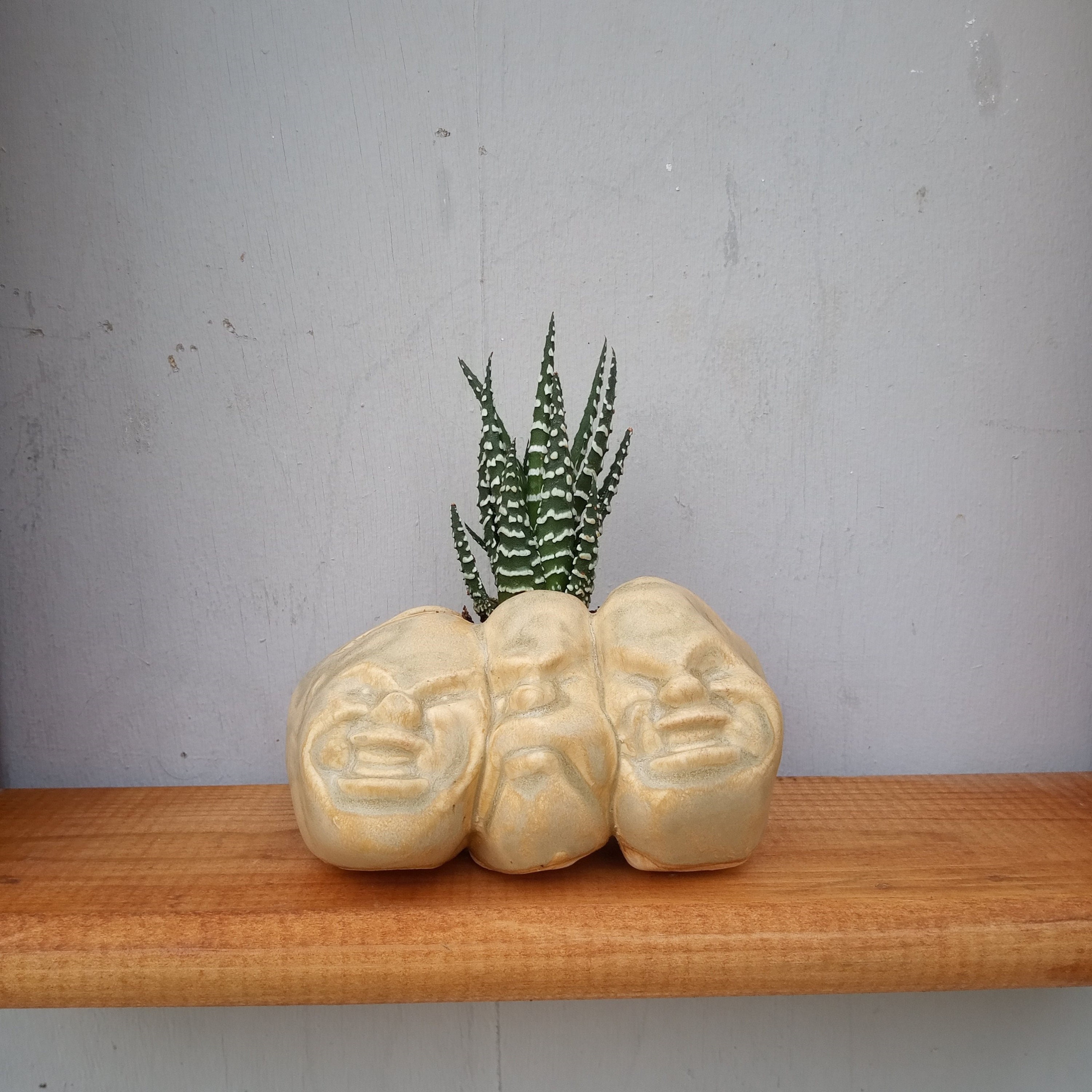 Face Plant Pot Ceramic Face Planter Mini Planter Small - Etsy UK