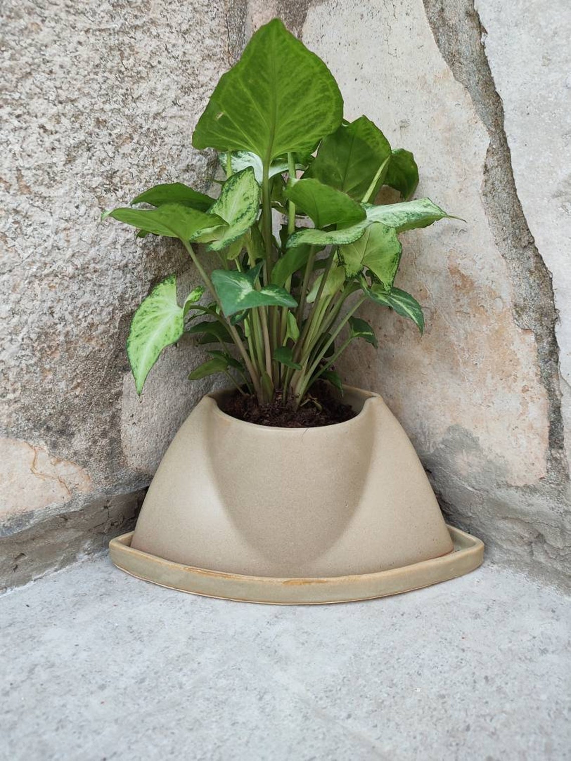 Corner Planter Ceramic Planter Floor Plant Pot - Etsy