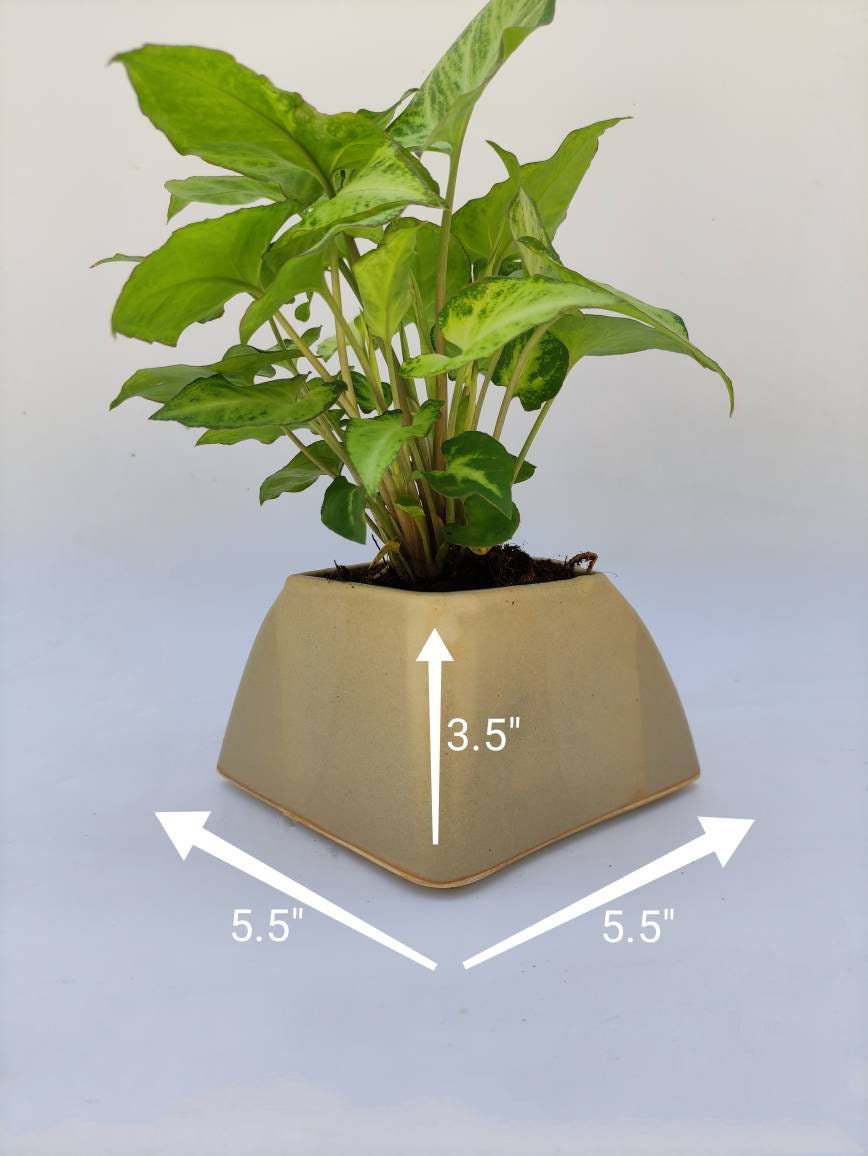 Corner planter Ceramic planter Floor plant pot | Etsy