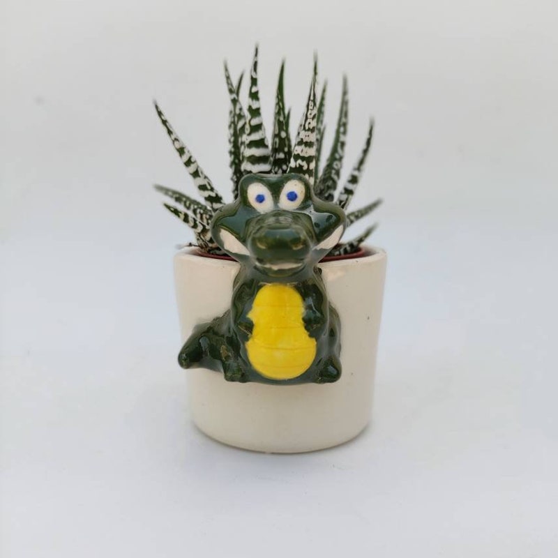 Alligator Planter - Etsy