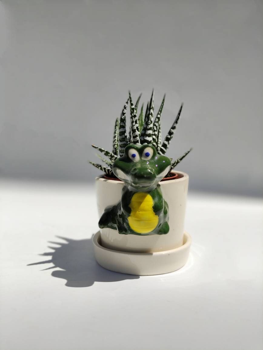 Cute Animal Succulent Planter Adorable Alligator Ceramic Pot | Etsy