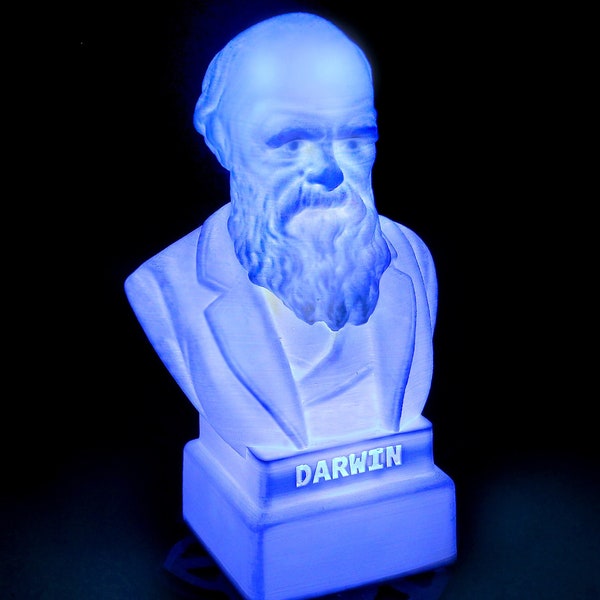 Charles Darwin - Etsy