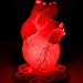 Human Heart 3D Printed Accent Lamp Anatomical Table Lamp - Etsy