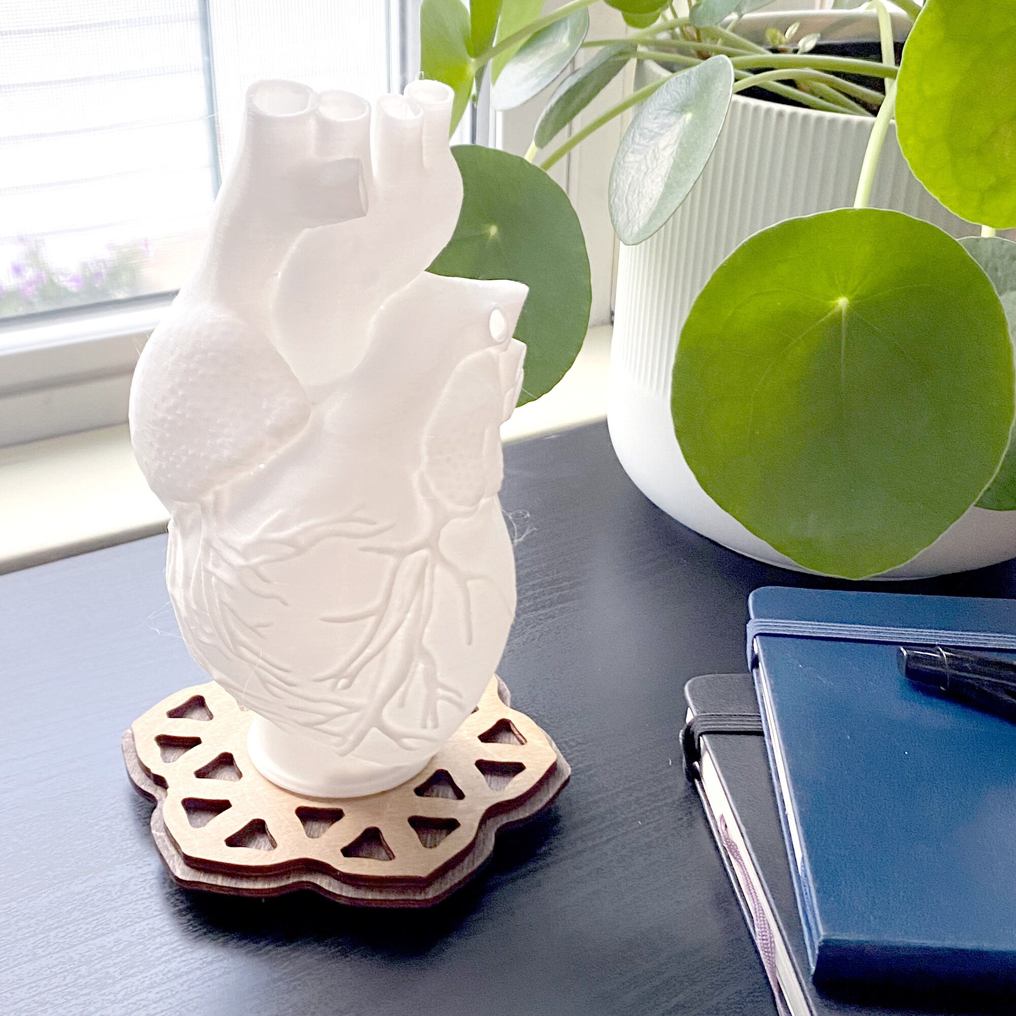 Human Heart 3D Printed Accent Lamp | Etsy