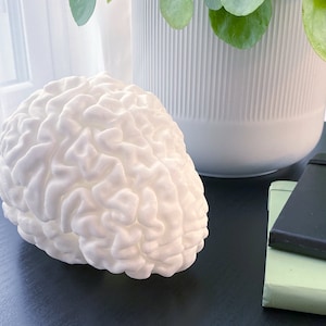 Human Brain - 3D Printed Accent Lamp, Wall Hanging or Table Top Novelty ...