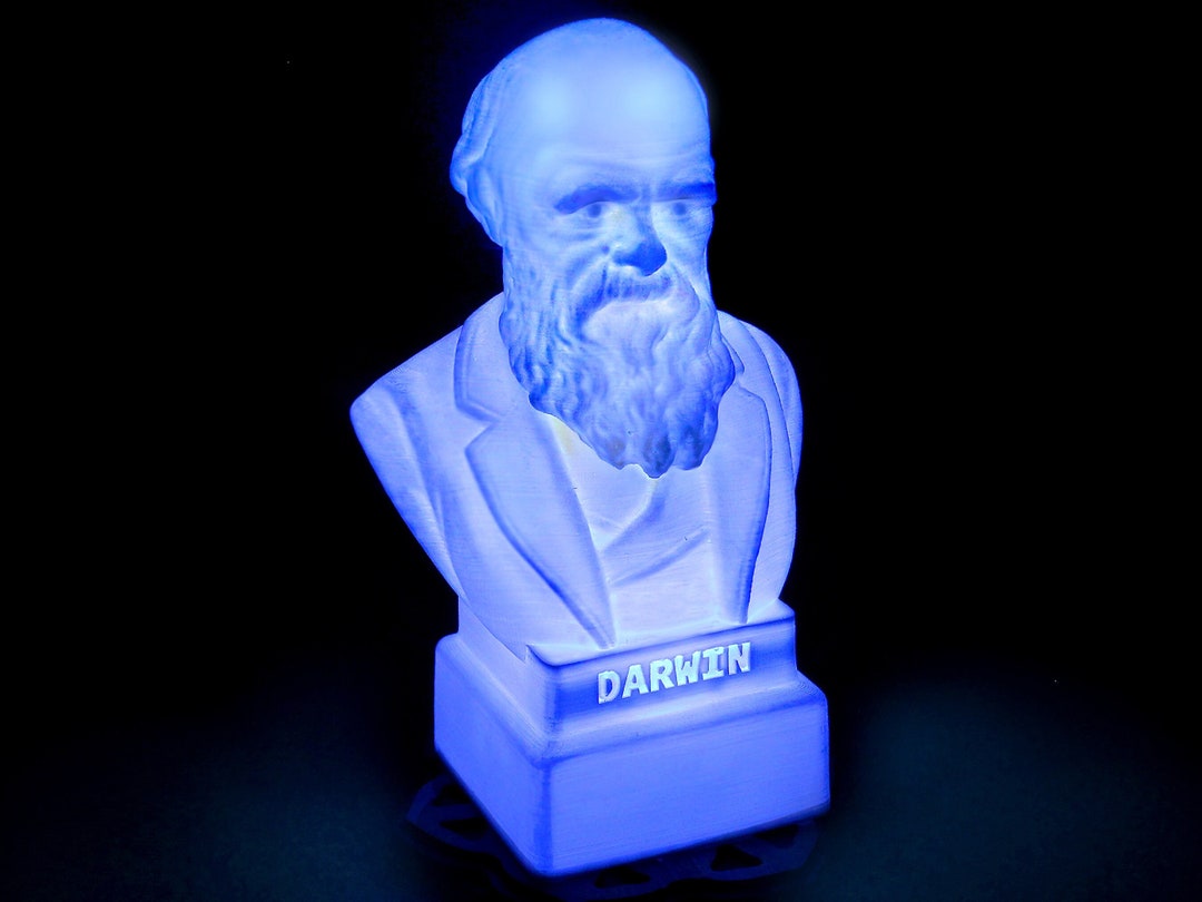 Charles Darwin - 3D Printed Lamp, Novelty Lamp, LED Light, Ambient ...