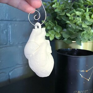 3D Printed Anatomy Ornaments - for Holidays or Home Decor, Christmas ...