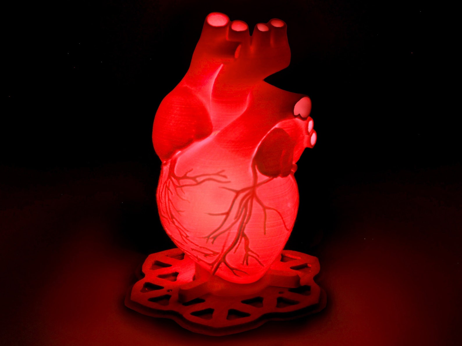 Human Heart 3D Printed Accent Lamp Anatomical Table Lamp - Etsy