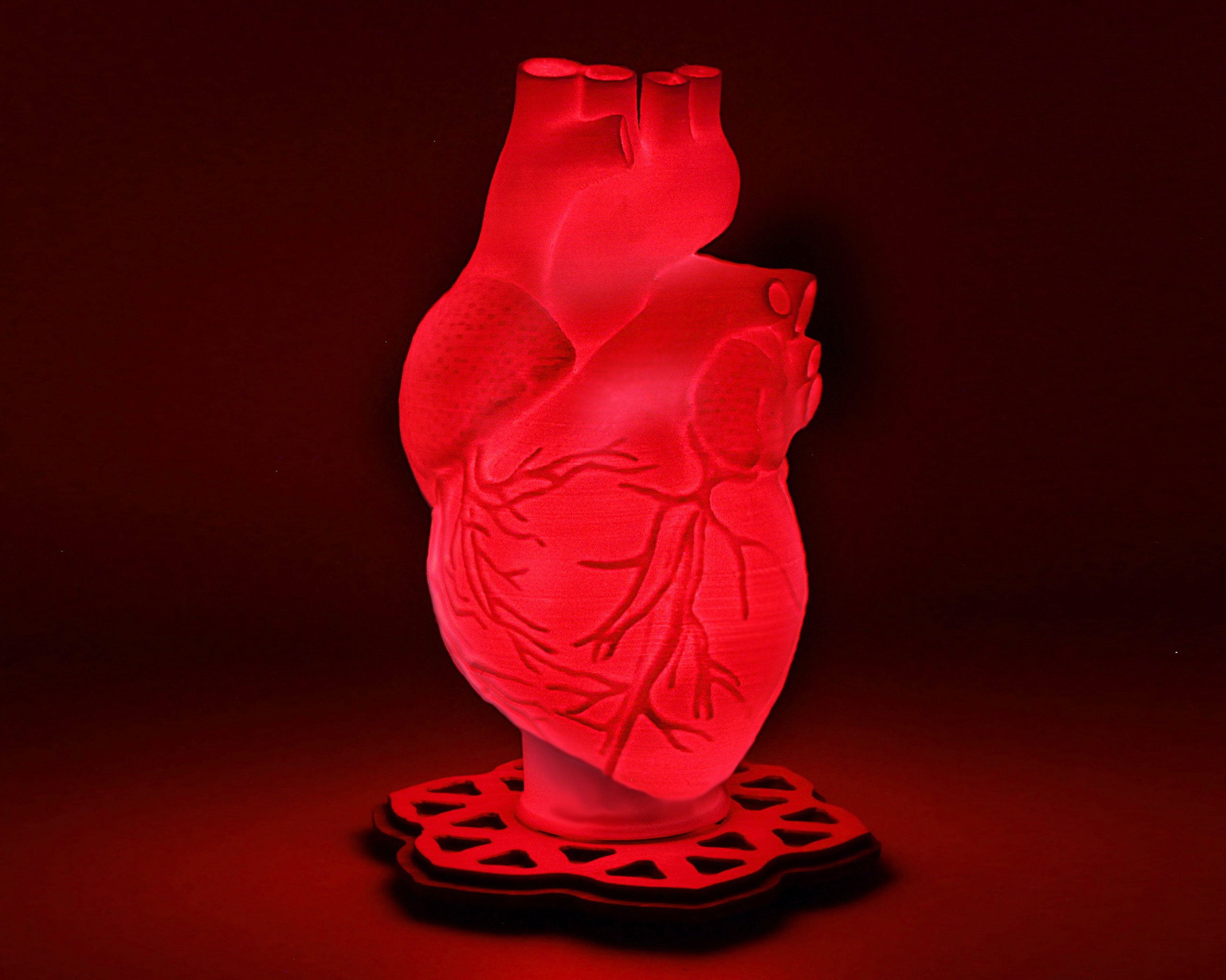 Human Heart 3D Printed Accent Lamp | Etsy