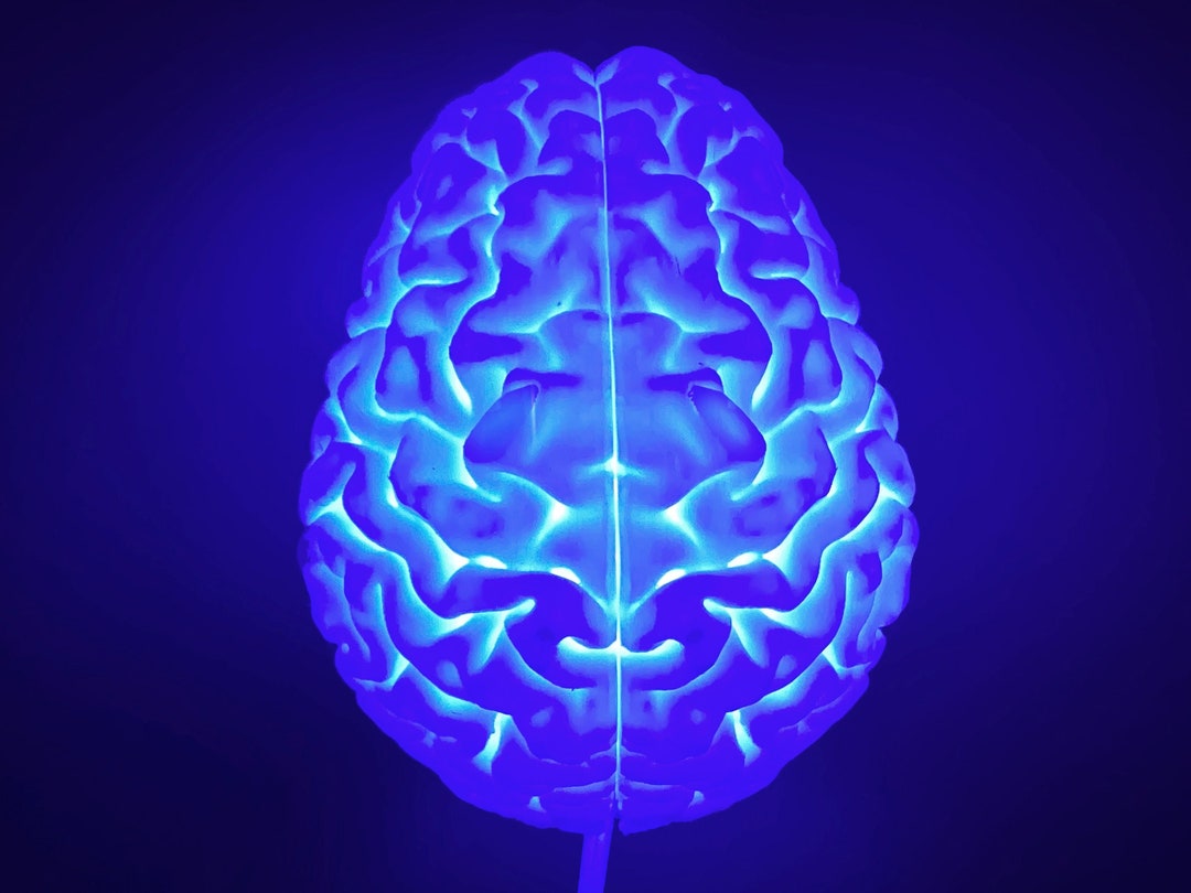 Human Brain - 3D Printed Accent Lamp, Wall Hanging or Table Top Novelty ...