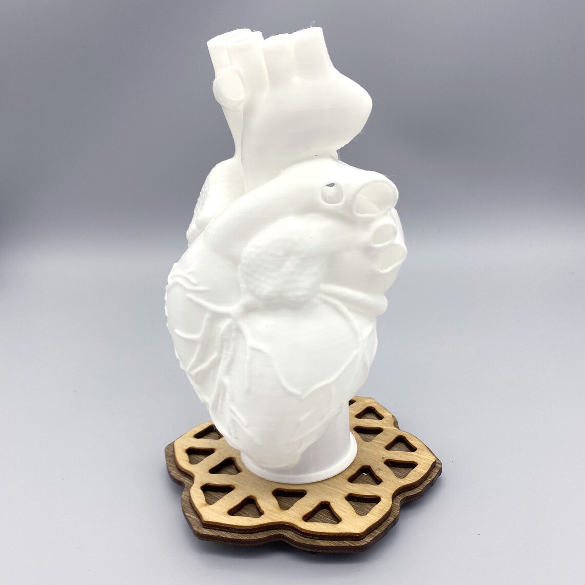 Human Heart 3D Printed Accent Lamp | Etsy