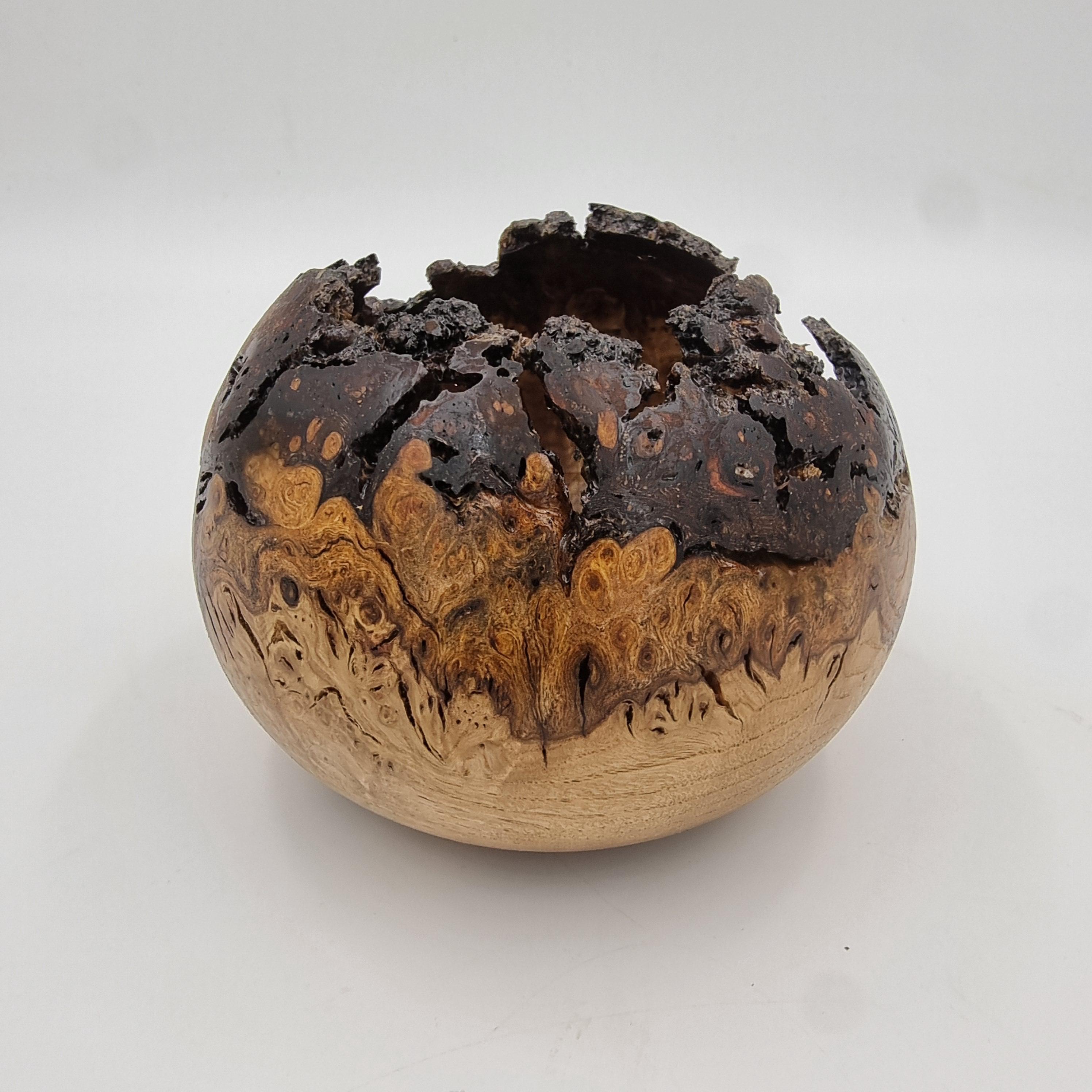 Live Edge Chestnut Burl Bowl With Bark 13cmx 10cm - Etsy