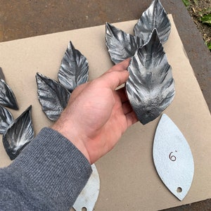 Set of Hand Forged Leaves. Forged Elements. Blacksmith Elements. Iron ...