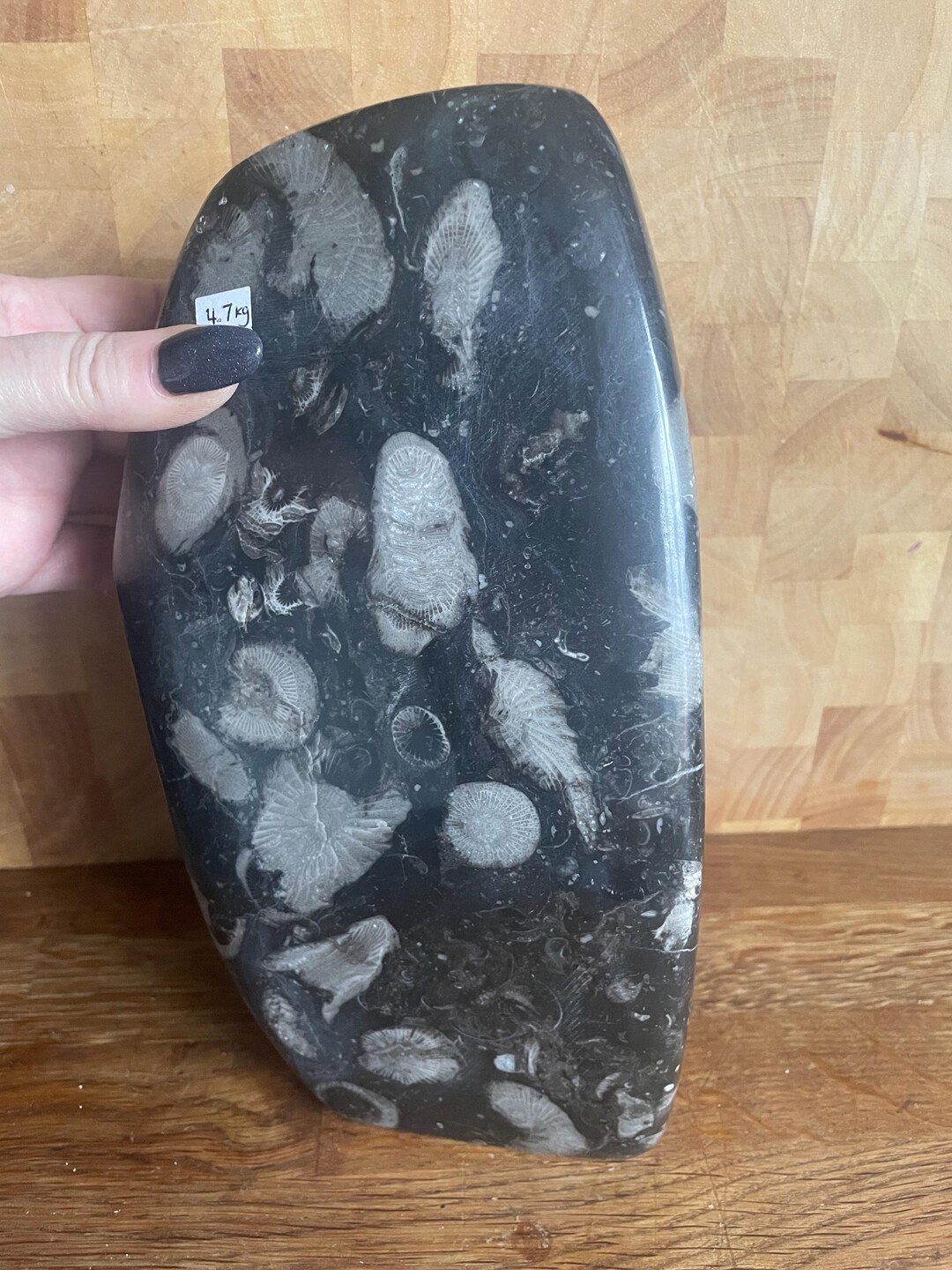 Frosterley Marble Freeform, 4.7 Kg - Etsy