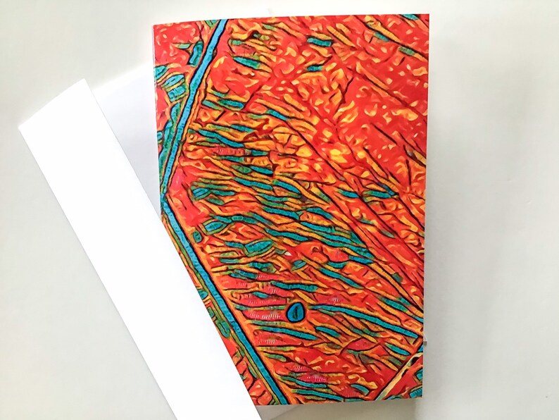 Abstract Photo Art Blank Note Card Set - Free Shipping - Etsy
