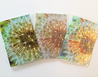 Dandelion Seed Pod | Etsy