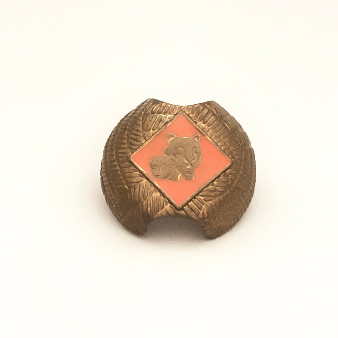 Cub Scout Brass and Orange Enamel Neckerchief Slide Band Boy Scouts of ...