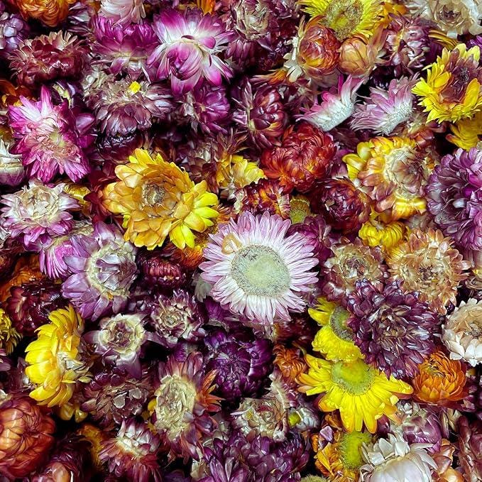 Edible Dried Mixed Flowers | 100% Natural | 20+ Flowers | Perfect for ...
