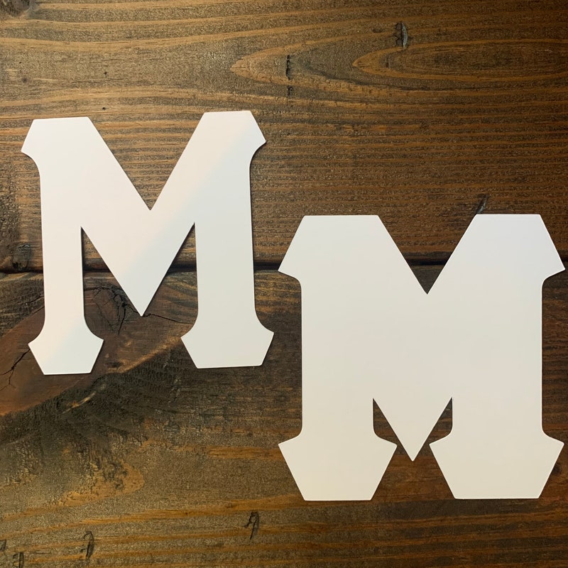 Phi Mu Canvas - Etsy