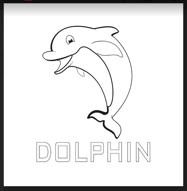 3000 Bundle Animal Coloring Pages Activity Book for Kids Zoo Animal ...