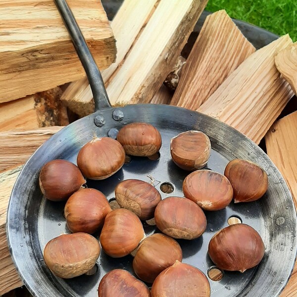 Roasting Pan - Etsy