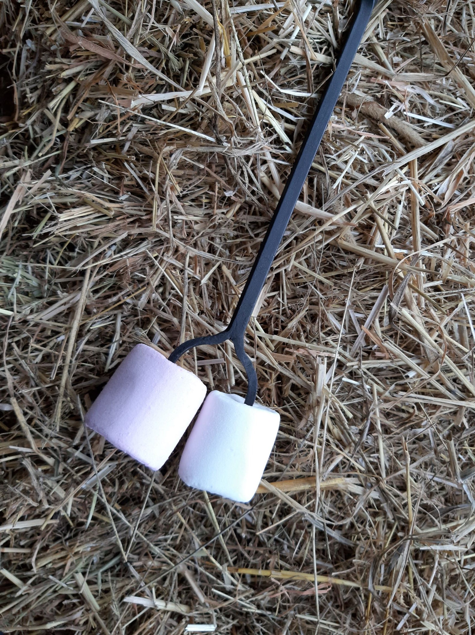 Toasting Fork, Marshmallow Toaster, Traditionally Hand Forged ...