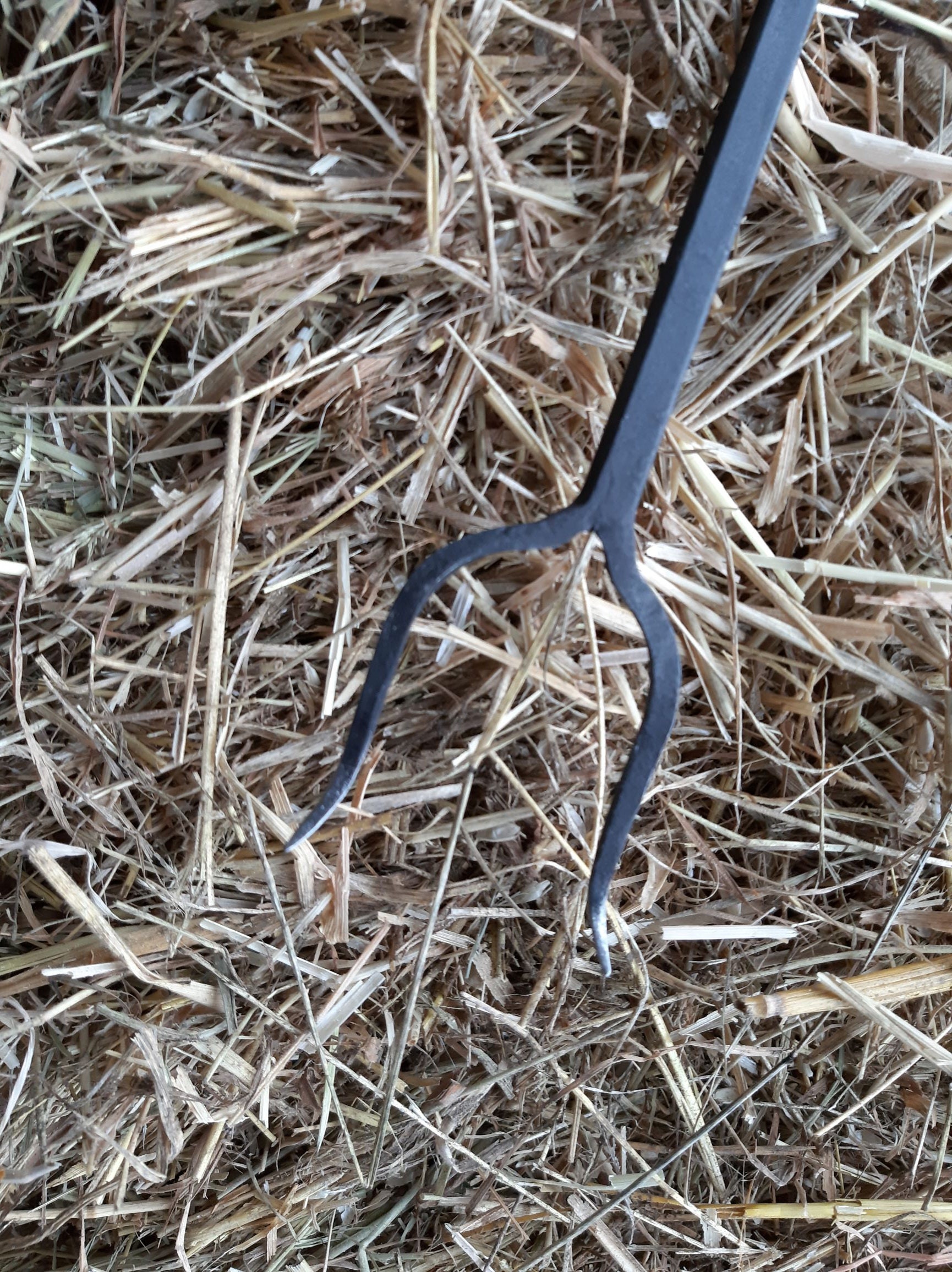 Toasting Fork, Marshmallow Toaster, Traditionally Hand Forged ...