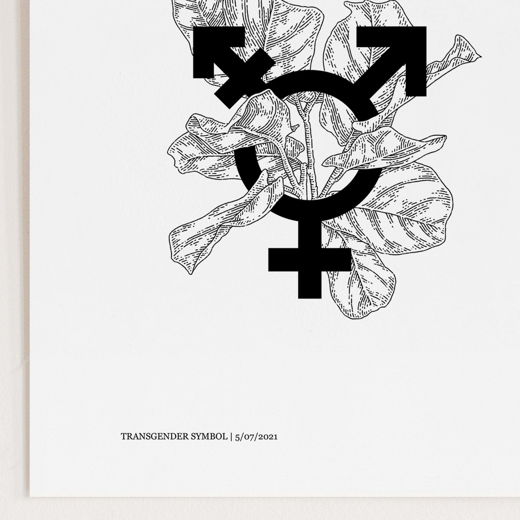 Impression d'art transgenre Symbole trans Illustration - Etsy France