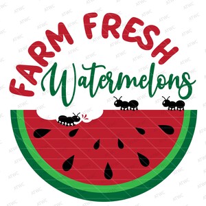 Summer Farm Fresh Watermelons DIGITAL SVG Cut File, Wood Door Round Svg ...