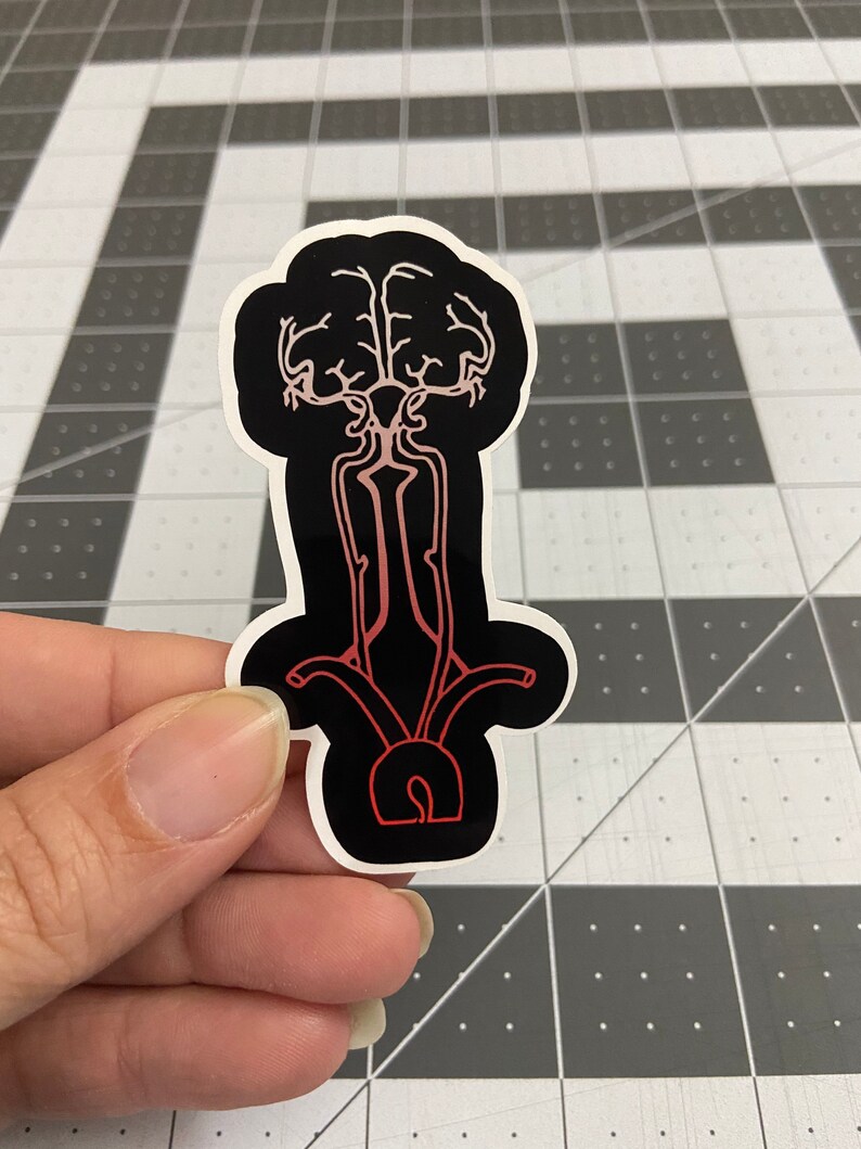Cow/carotid Glossy Sticker Angio Cta Radiology - Etsy