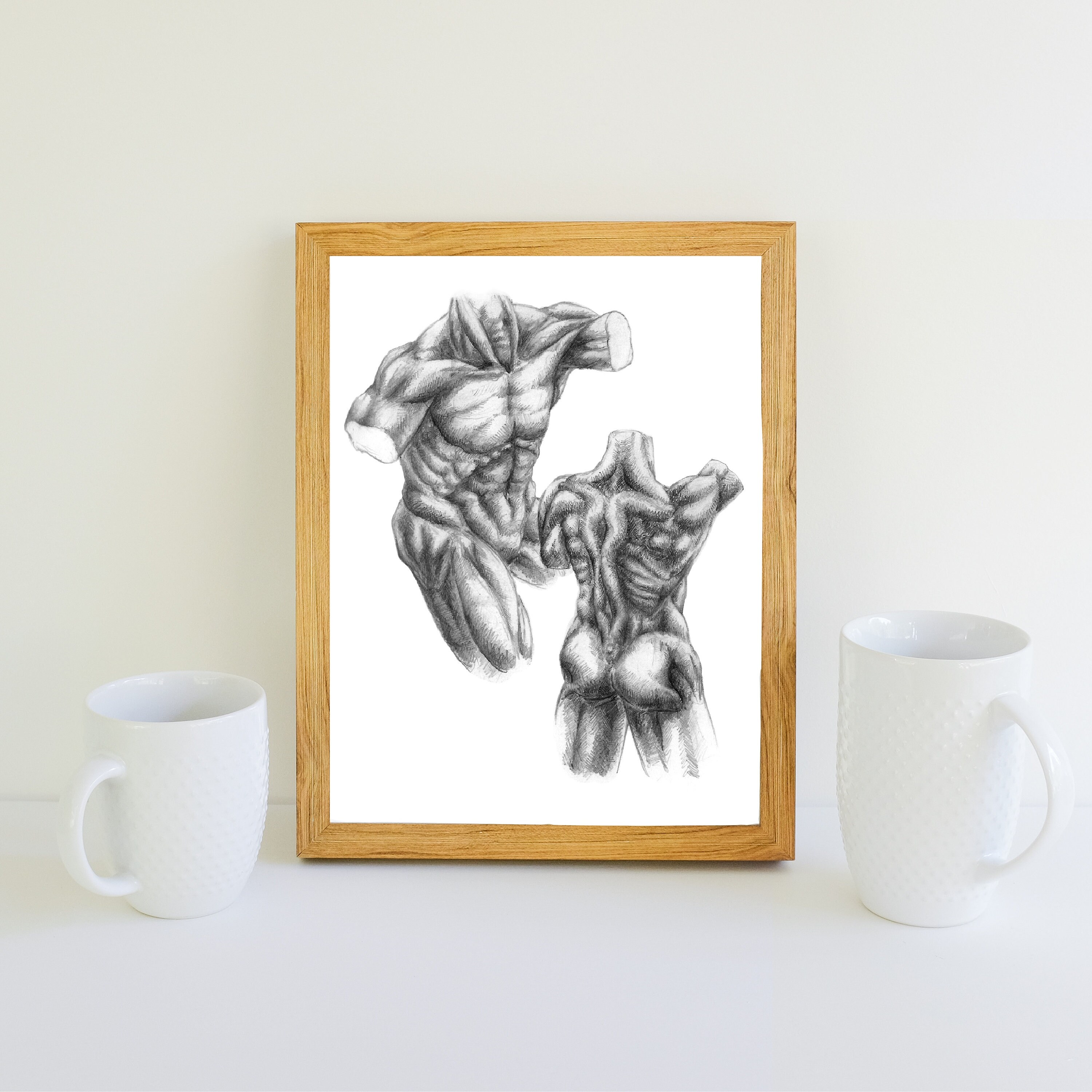 Figure Drawing Anatomy Muscular Drawing Muscle Drawings Pecs - Etsy Canada